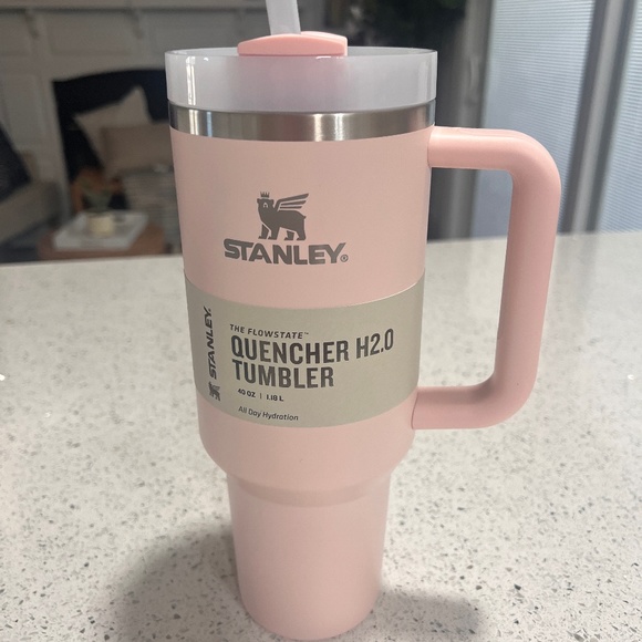 Stanley cup | Kitchen | Stanley Cup Bloom Pink New Release 4 Oz Slate ...